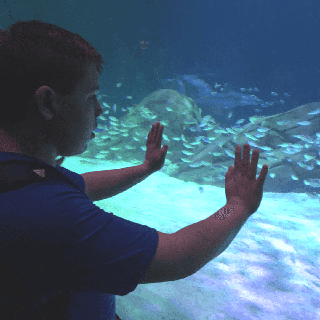 Zachary's Aquarium Adventure - Sunshine Foundation